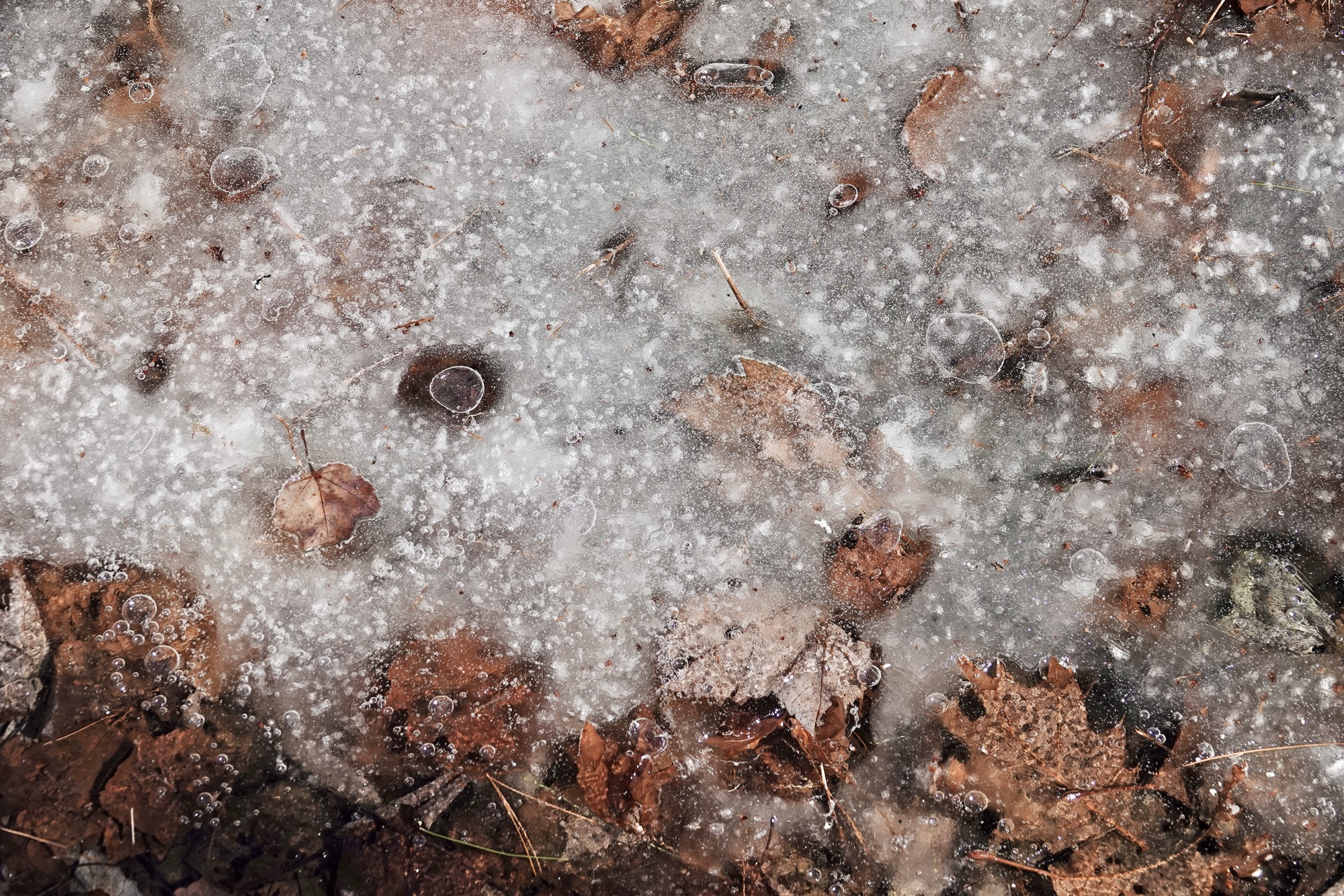 Melting – Pic for Today