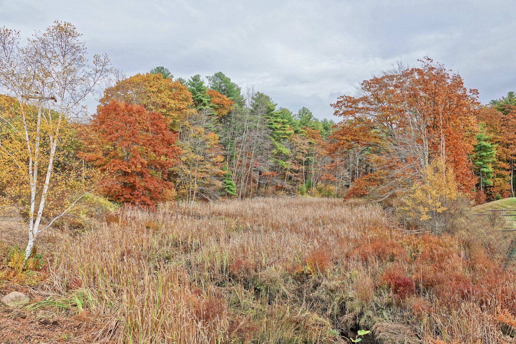 Second fall… – Pic for Today