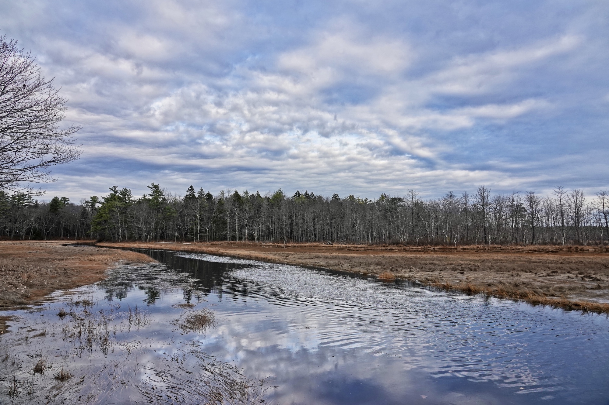 December sky – Pic for Today