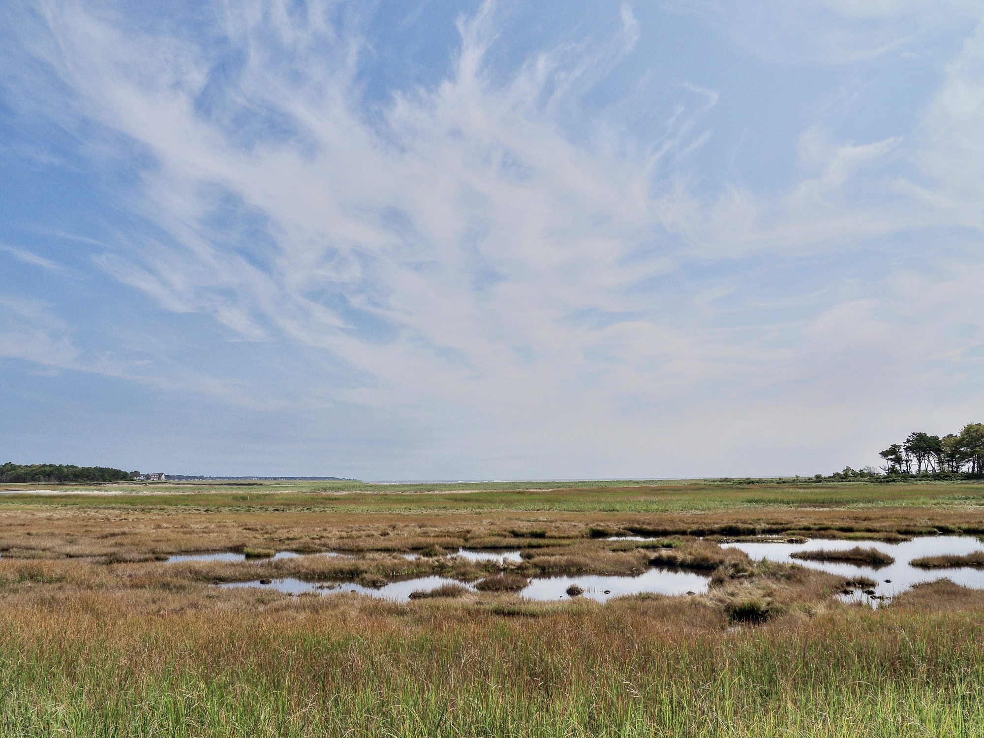 Maine! Fresh on Friday. Little River Marsh – Pic for Today