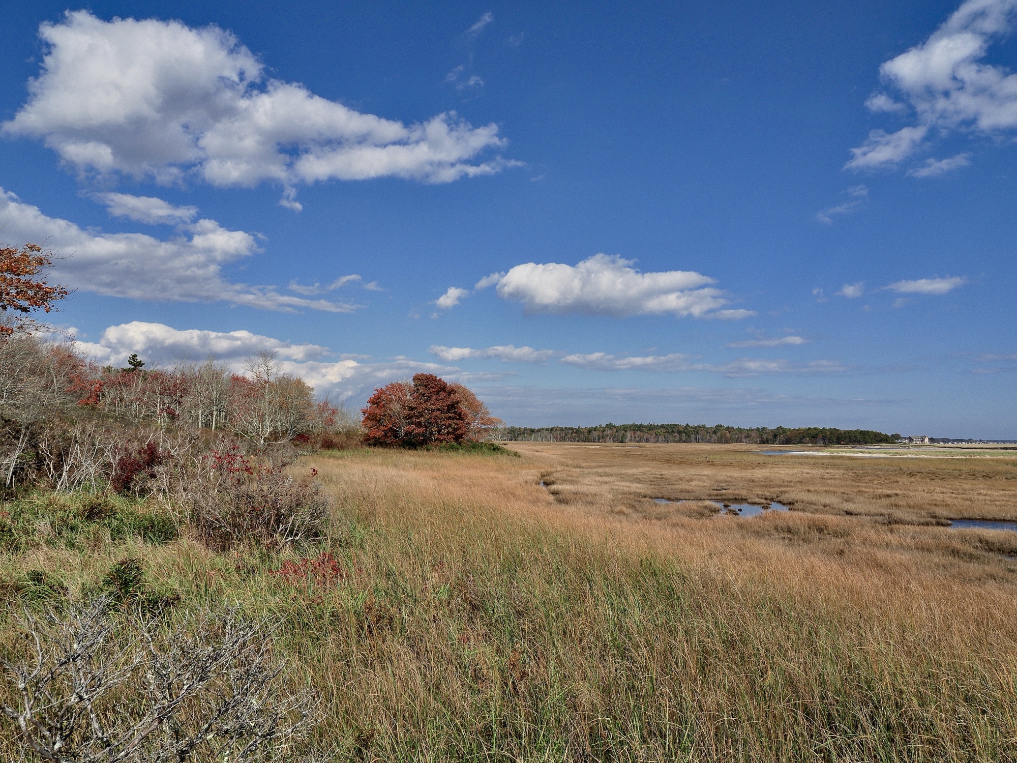 Maine! Little River Marsh – Pic for Today
