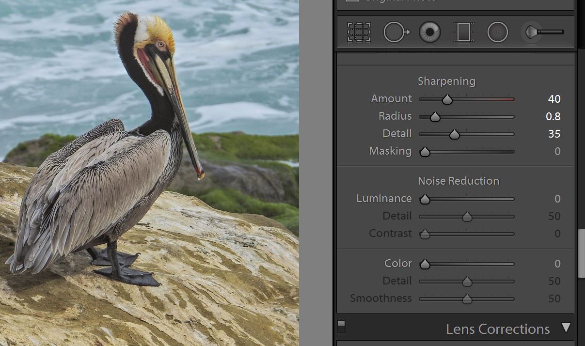 DIY Lightroom Presets – Point & Shoot Nature Photographer